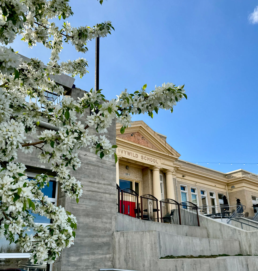 Odds and Ends Emporium Colorado Springs – Odds And Ends Emporium COS